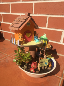 Creating a Miniature Garden: A Step-by-Step Guide - Creating a ...